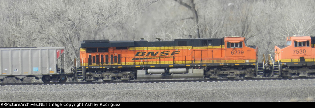 BNSF 6239